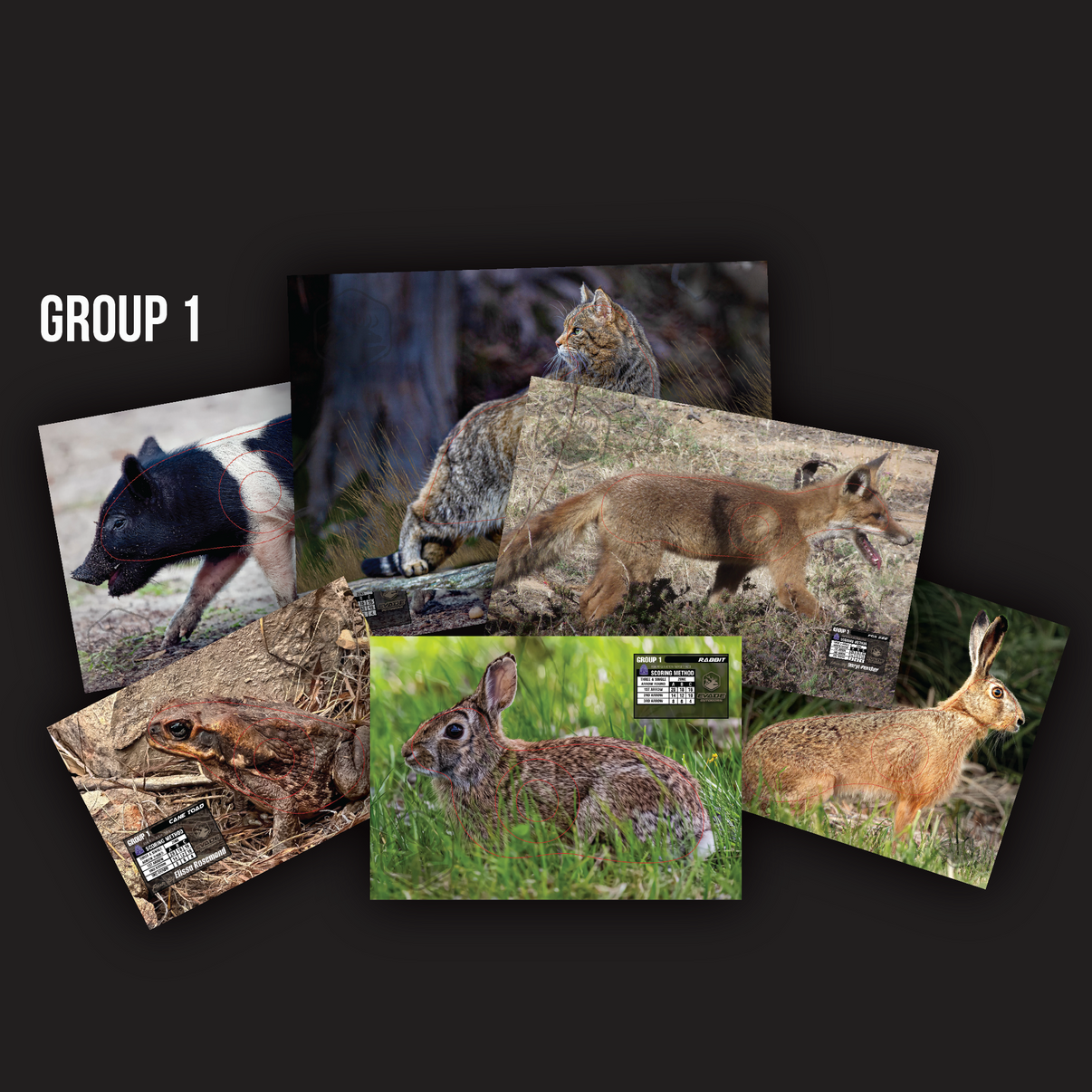 ABA FIELD ARCHERY TARGETS - OZ FERALS (SET 1) - GROUP 1 – Evade Outdoors