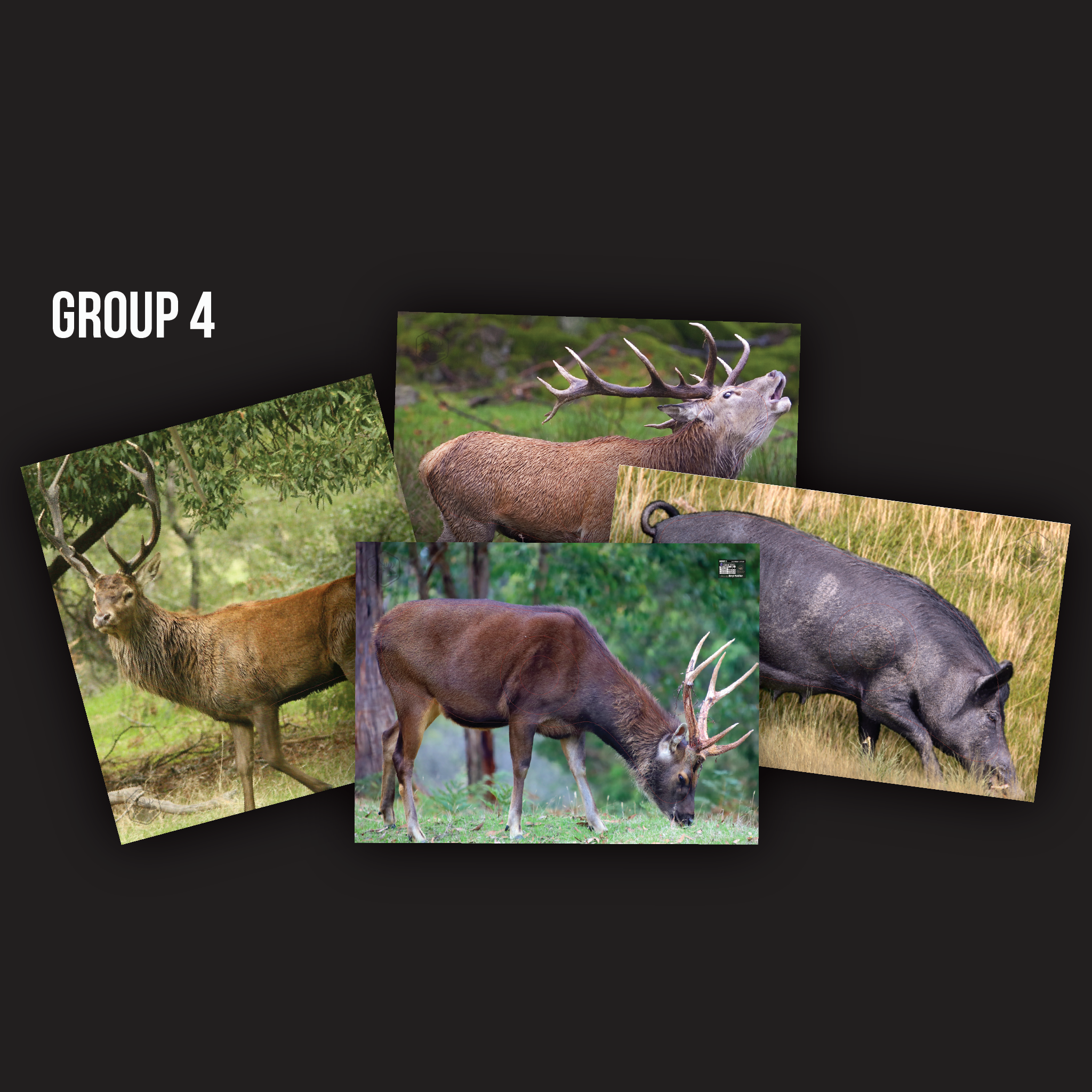 ABA FIELD ARCHERY TARGETS - OZ FERALS (SET 1) - GROUP 4 – Evade Outdoors